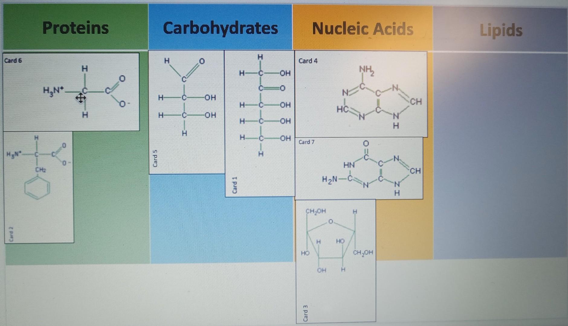 Card 6Nucleic Acids LipidsLipids Card 19Proteins | Chegg.com