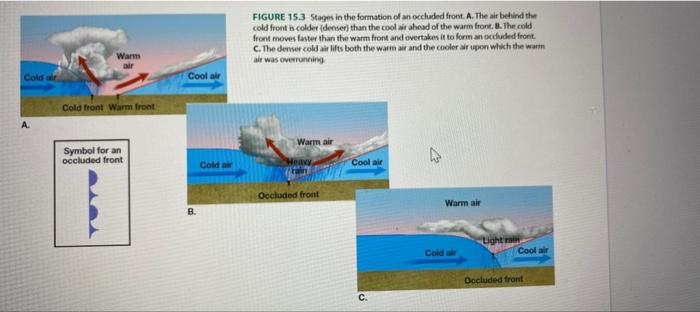 Solved FIGURE 15.3 Stages in the formation of an occluded | Chegg.com