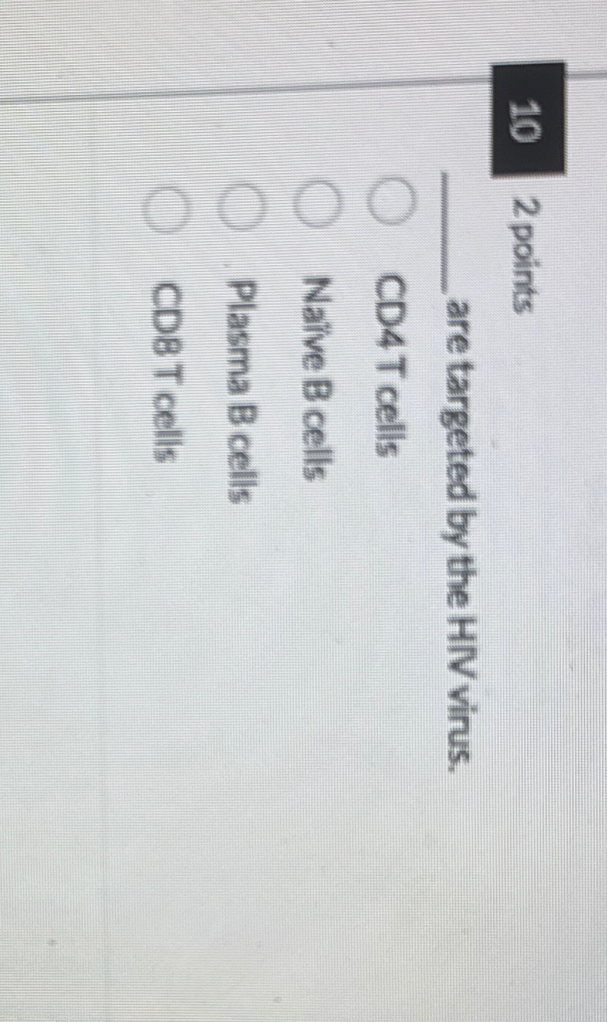 Solved 2 ﻿points ﻿are targeted by the HIV virus.CD4 ﻿T | Chegg.com