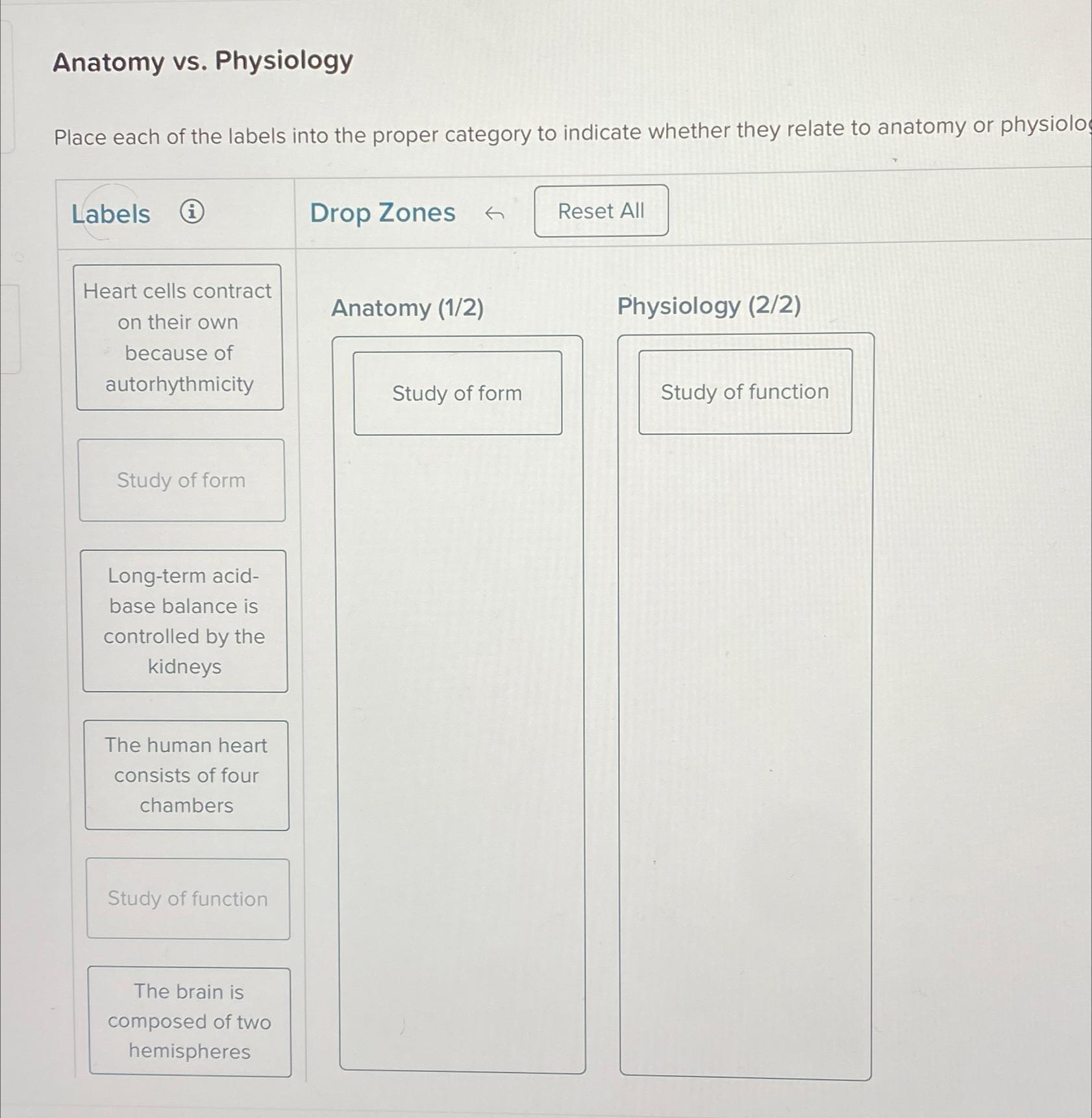 Solved Anatomy vs. ﻿PhysiologyPlace each of the labels into | Chegg.com