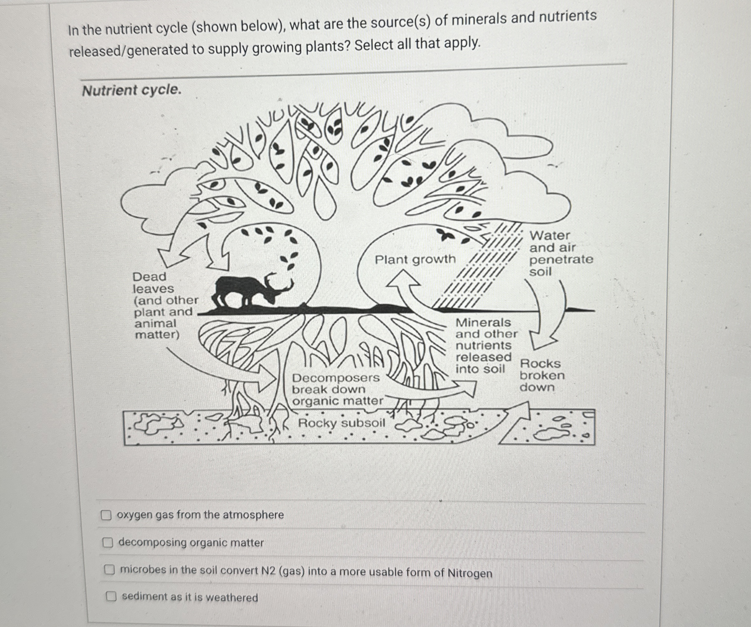 Solved In the nutrient cycle (shown below), ﻿what are the | Chegg.com