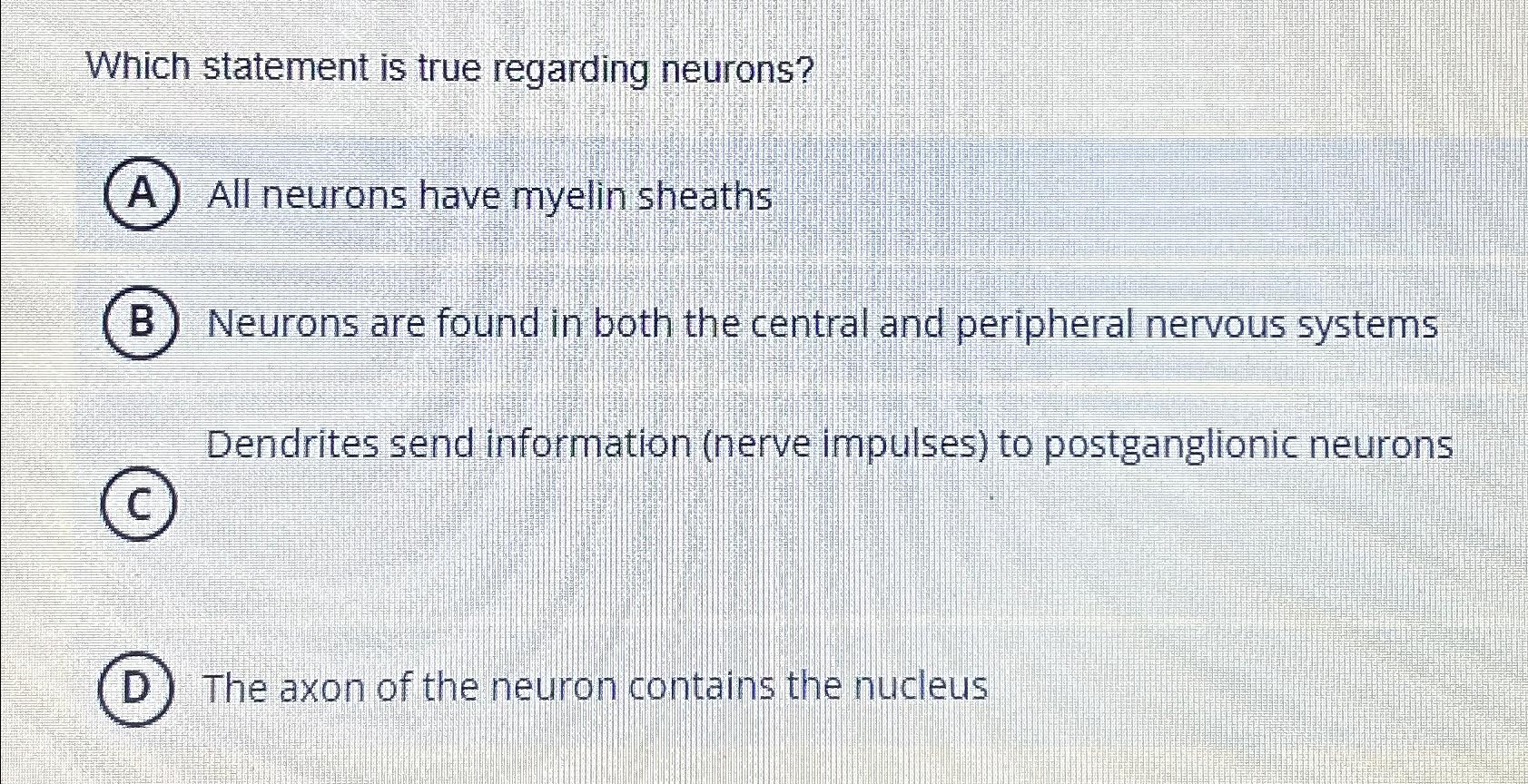Solved Which statement is true regarding neurons?A) ﻿All | Chegg.com