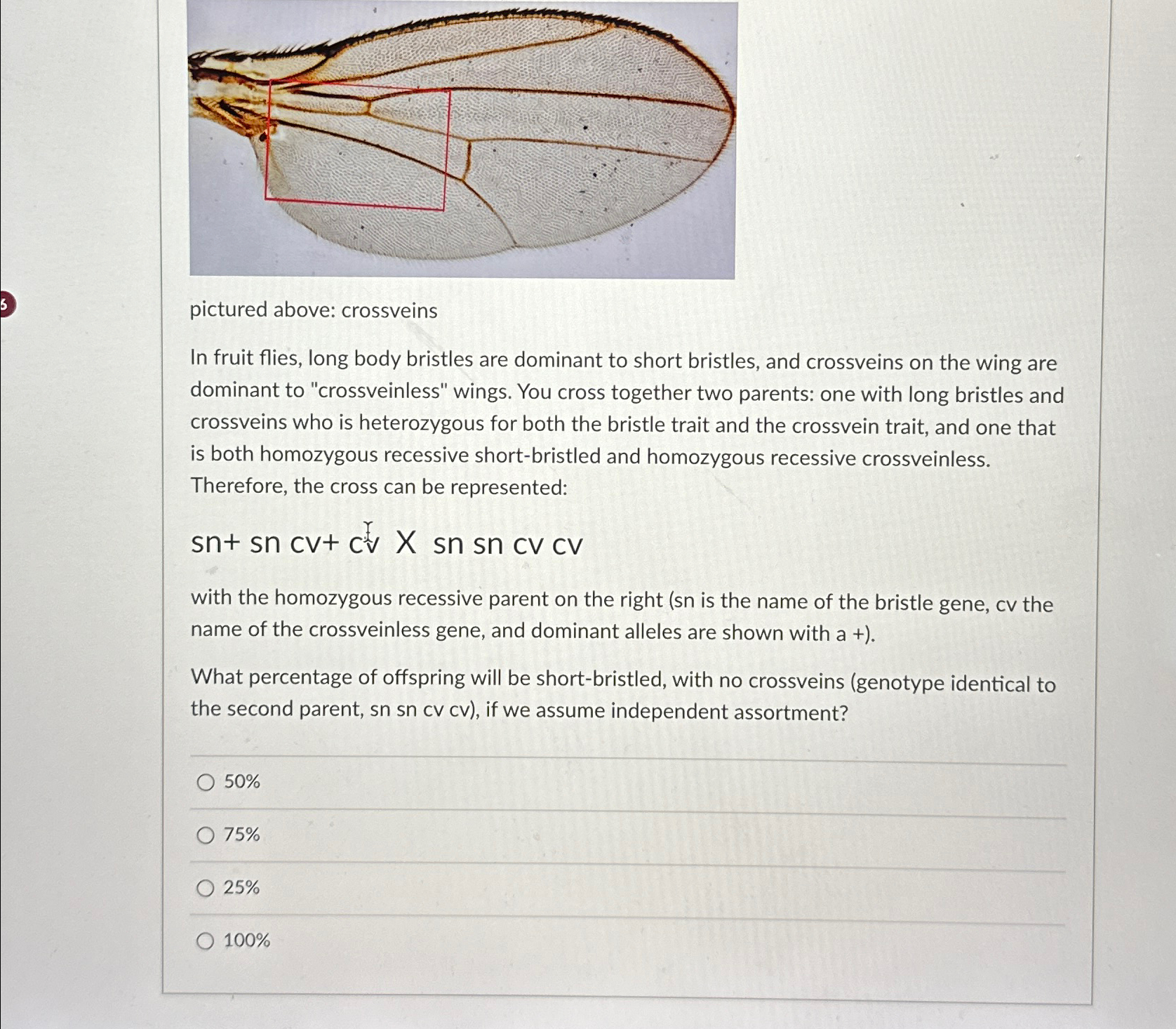 Solved pictured above: crossveinsIn fruit flies, long body | Chegg.com