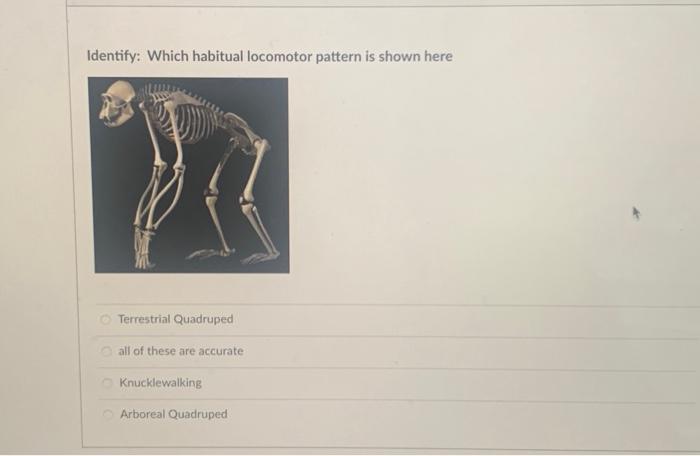 Identify: Which habitual locomotor pattern is shown | Chegg.com