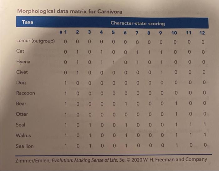 Create a phylogenetic tree based on the morphological | Chegg.com