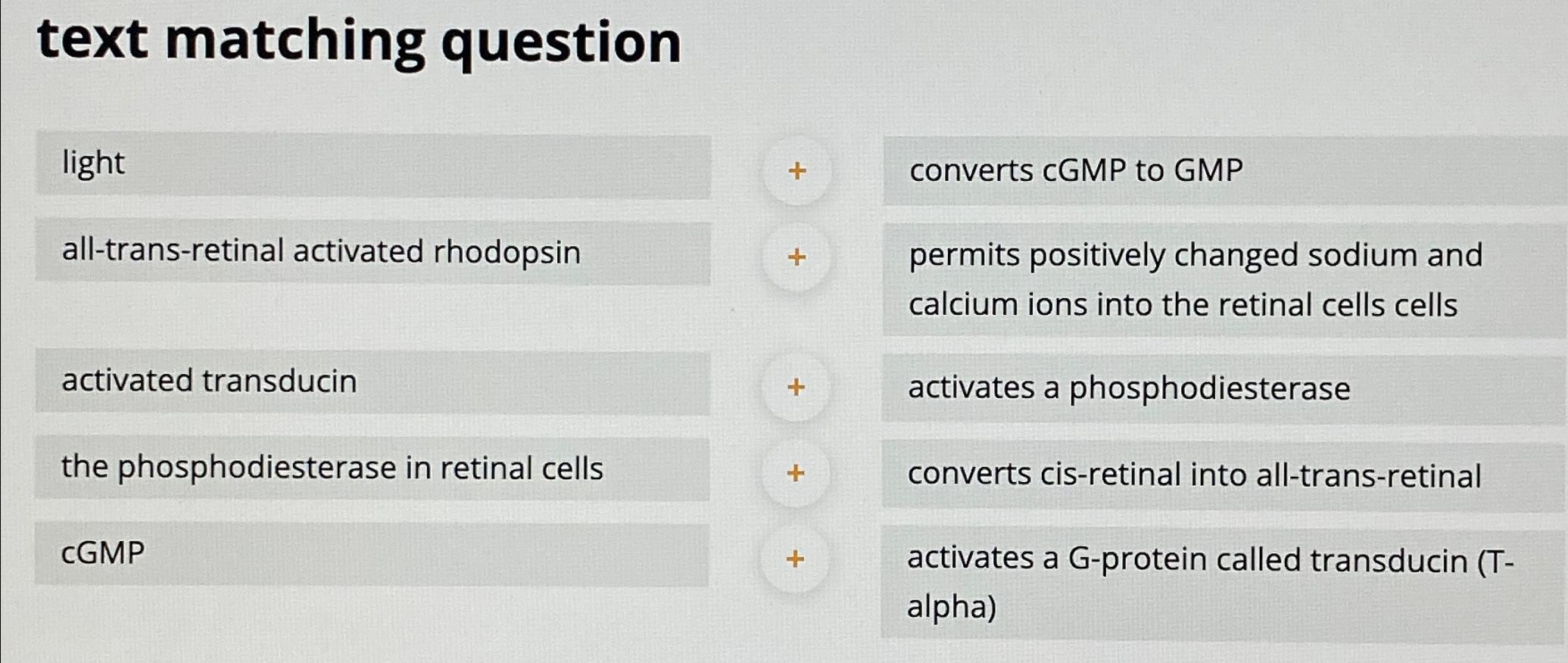 Solved text matching question\table[[light,converts cGMP to | Chegg.com