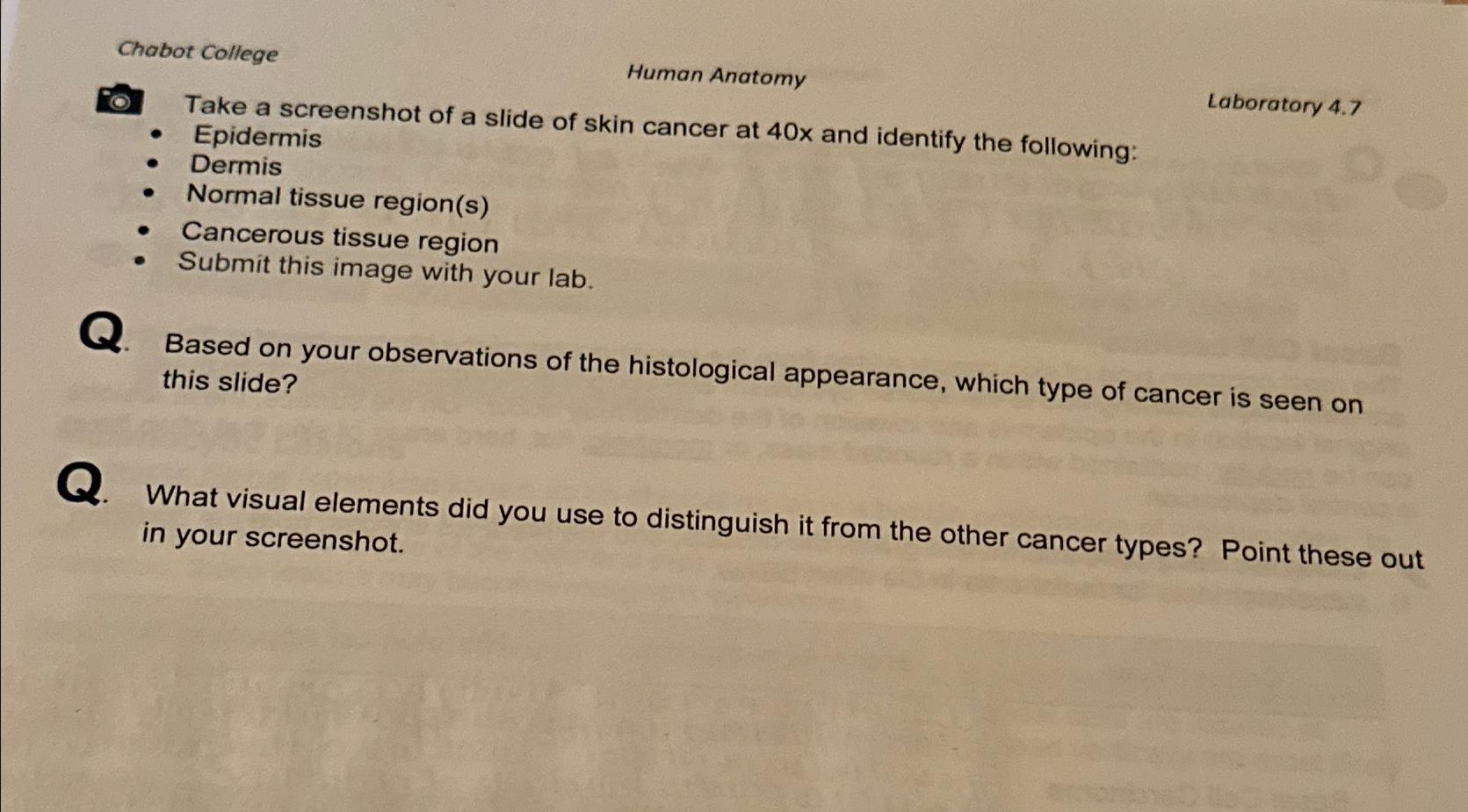 Chabot CollegeHuman AnatomyLaboratory 4.7Take a | Chegg.com