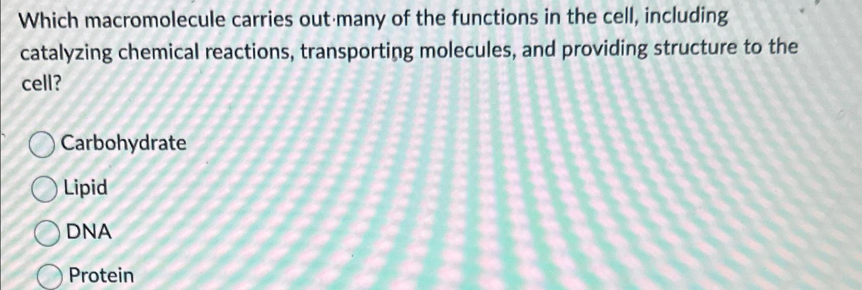 Solved Which macromolecule carries out.many of the functions | Chegg.com