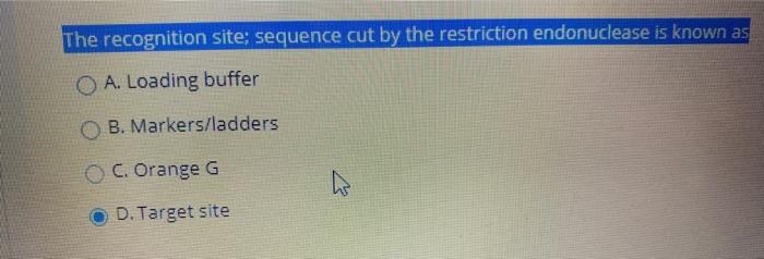 Solved The recognition site: sequence cut by the restriction | Chegg.com