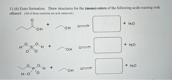 Solved 11.(6) Ester formation. Draw structures for the | Chegg.com