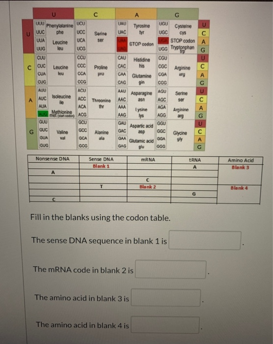Solved G A Tyroshe UGU Cysteine UAC STOP codon UGC STOP | Chegg.com