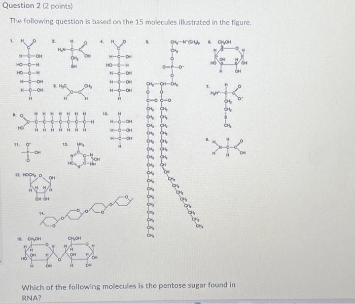 Solved The following question is based on the 15 molecules | Chegg.com