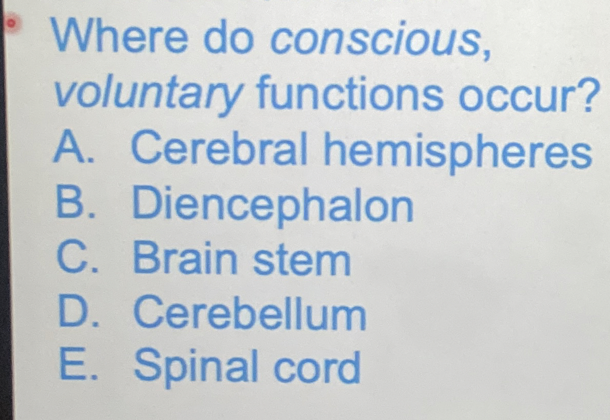 Solved Where do conscious, voluntary functions occur?A. | Chegg.com