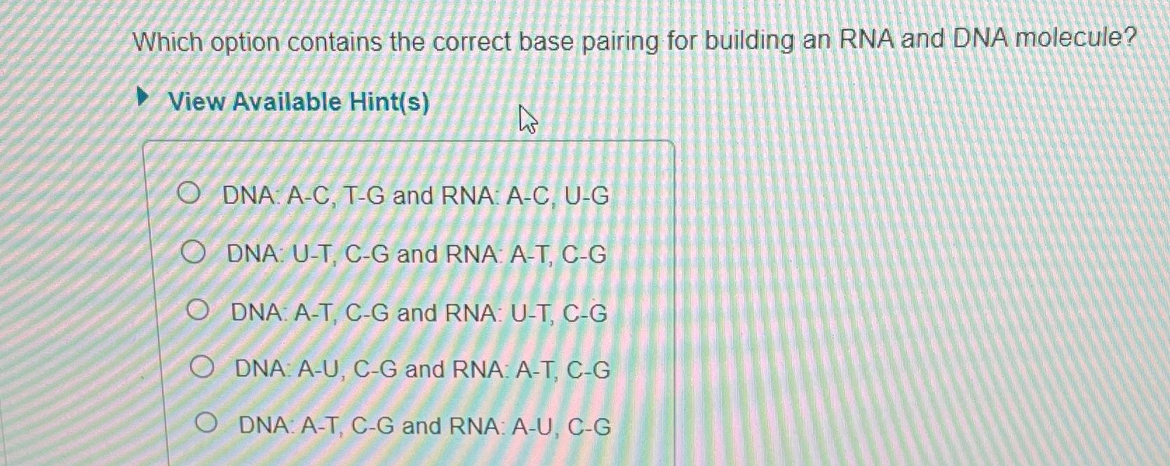 Solved Which option contains the correct base pairing for | Chegg.com