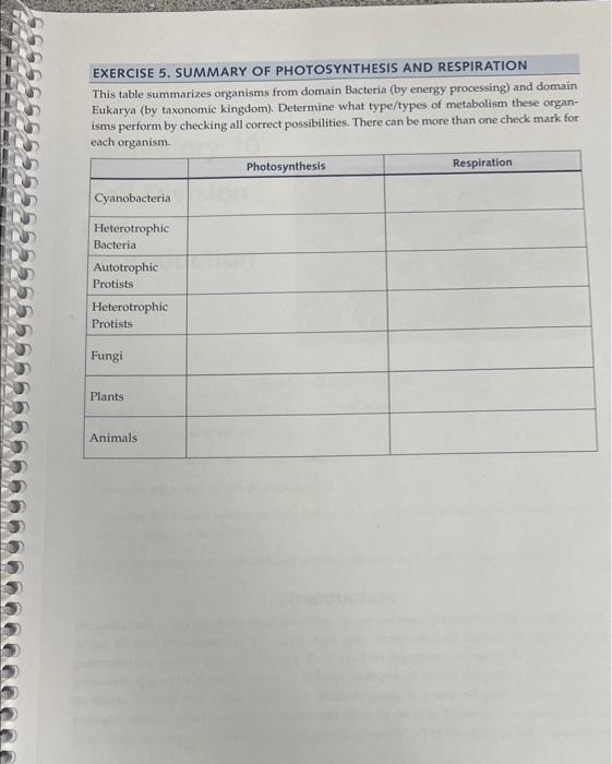 Solved EXERCISE 5. SUMMARY OF PHOTOSYNTHESIS AND RESPIRATION | Chegg.com