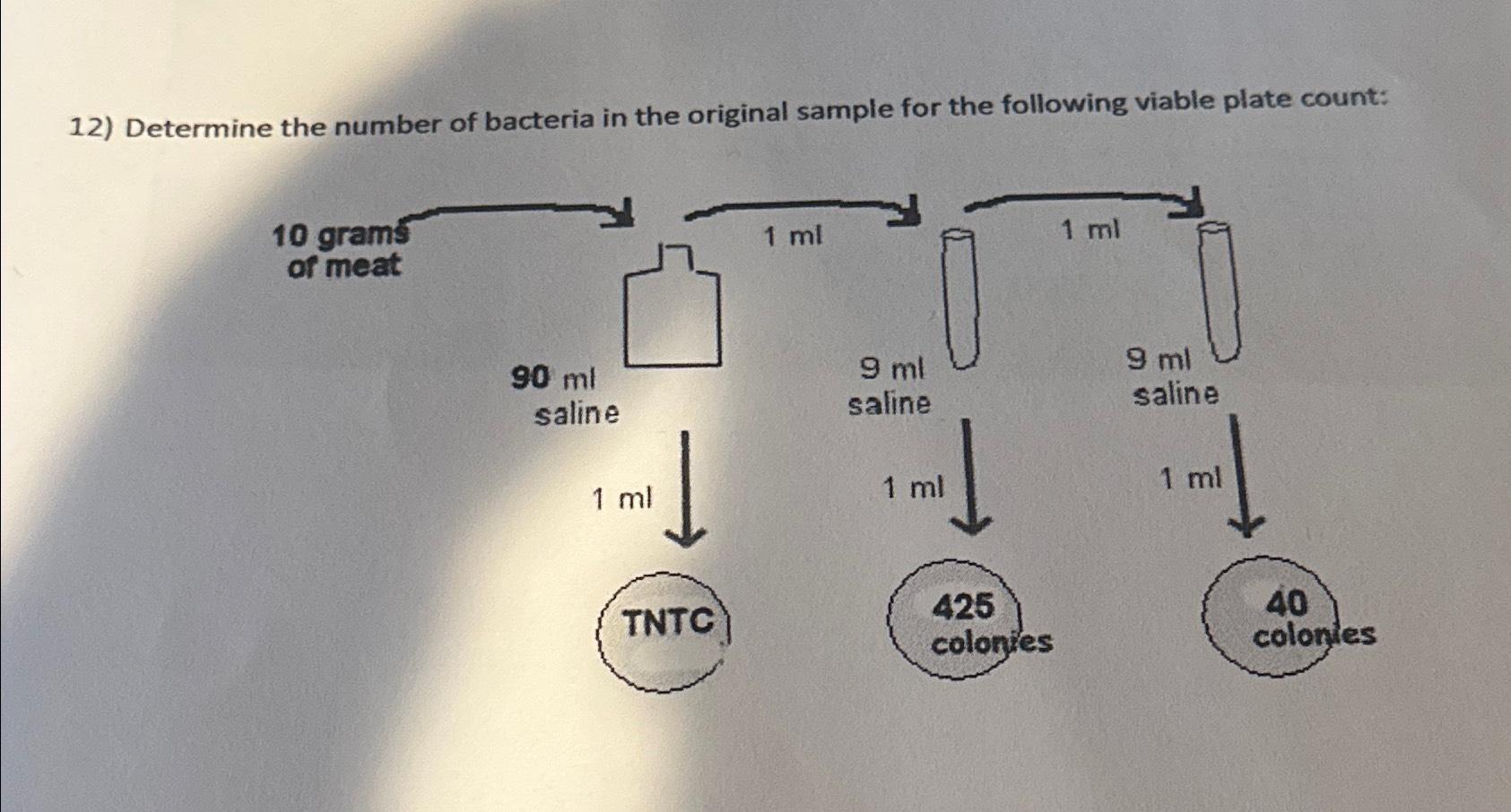 Solved Determine the number of bacteria in the original | Chegg.com