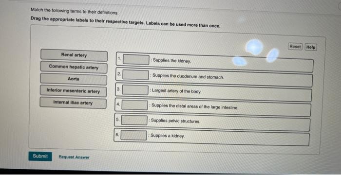 Solved Match the following terms to their dofinitions. Drag | Chegg.com