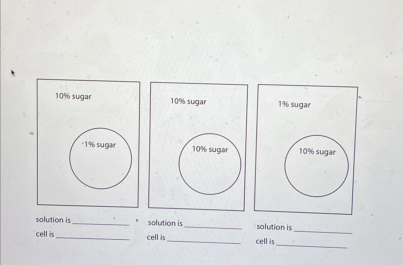 Solved solution issolution iscell is cell issolution is cell | Chegg.com
