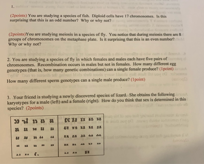 Solved (2points) You are studying a species of fish. Diploid | Chegg.com