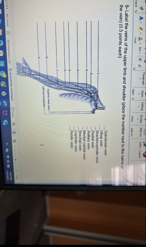 Solved 5- ﻿Label the veins of the upper limb and shoulder | Chegg.com