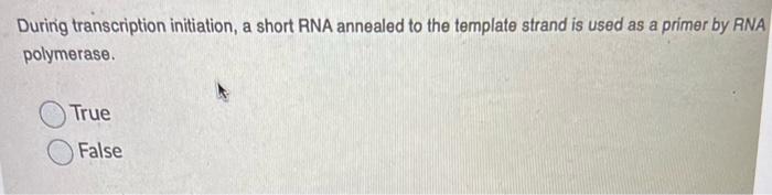 Solved During transcription initiation, a short RNA annealed | Chegg.com