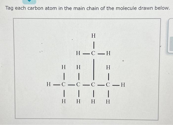 Solved Tag each carbon atom in the main chain of the | Chegg.com