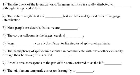 Solved Lateralization, Language, and The Split Brain: The | Chegg.com
