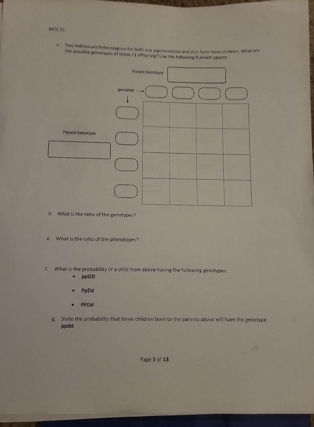 Solved b. List the possible genotypes for an individual with | Chegg.com