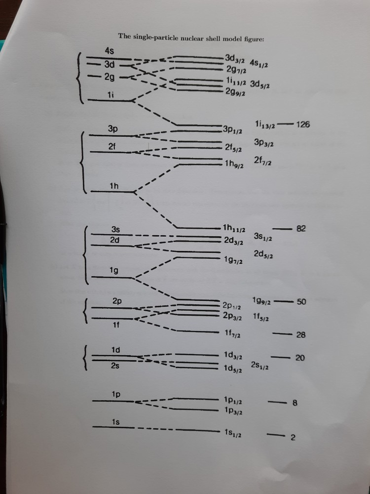 Solved 2. On the basis of the single particle shell model | Chegg.com