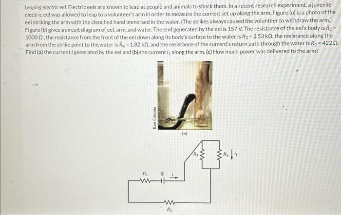 Solved Leaping electric eel. Electric eels are known to leap | Chegg.com