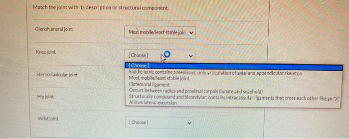 Solved Match the joint with its description or structural | Chegg.com