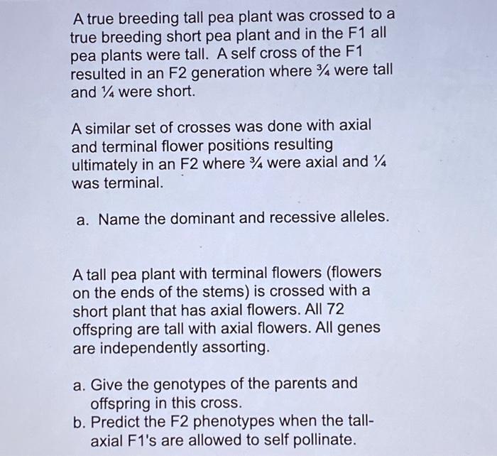 Solved A true breeding tall pea plant was crossed to a true | Chegg.com