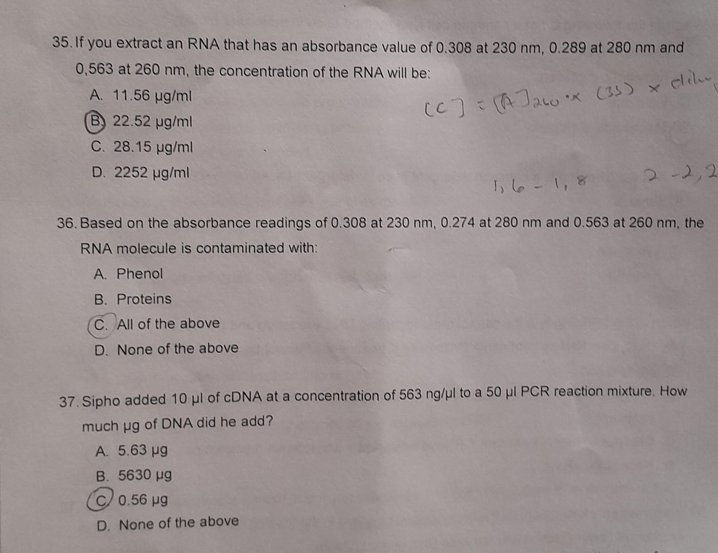 Solved 35. If you extract an RNA that has an absorbance | Chegg.com
