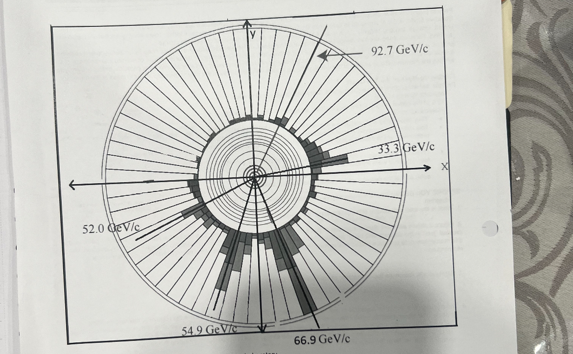 Please help me use the momentum data to draw a scaled | Chegg.com