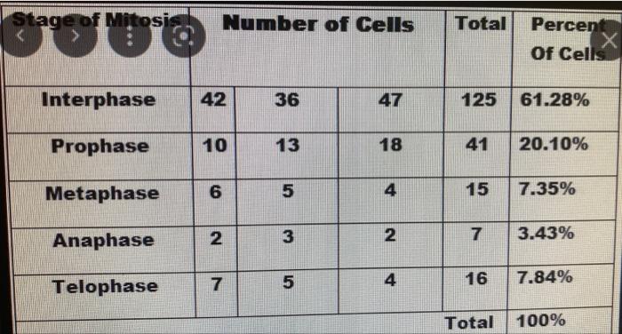 Solved Part IA: Mitosis in Plants 2 3 4 A A mitotic | Chegg.com