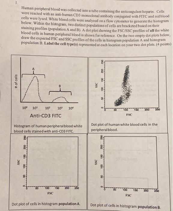 Solved microbiology: Immunology, please help me with this | Chegg.com