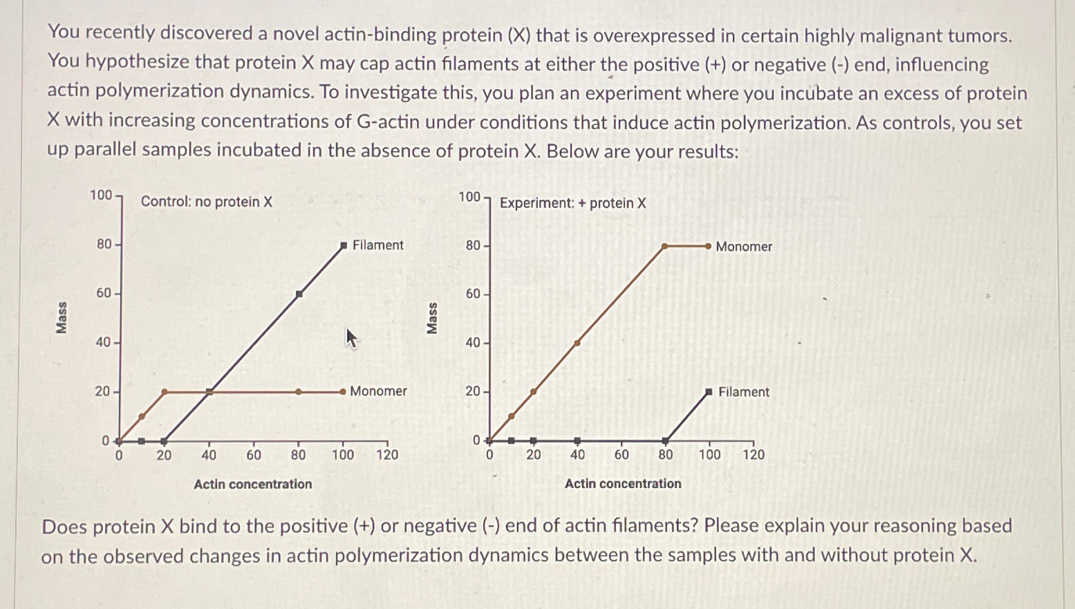 Solved You recently discovered a novel actin-binding protein | Chegg.com