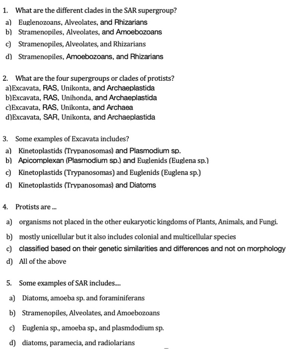Solved 1. What are the different clades in the SAR | Chegg.com