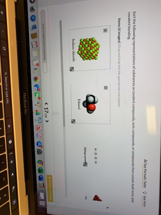 Solved See Periodic Table See Hint Sort the following | Chegg.com