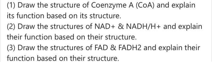 Solved (1) Draw the structure of Coenzyme A (COA) and | Chegg.com