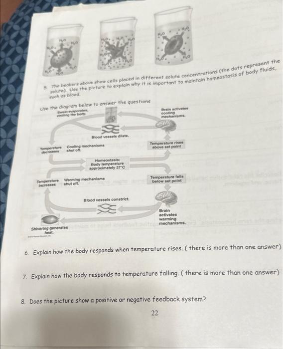 Solved 6. Explain how the body responds when temperature | Chegg.com