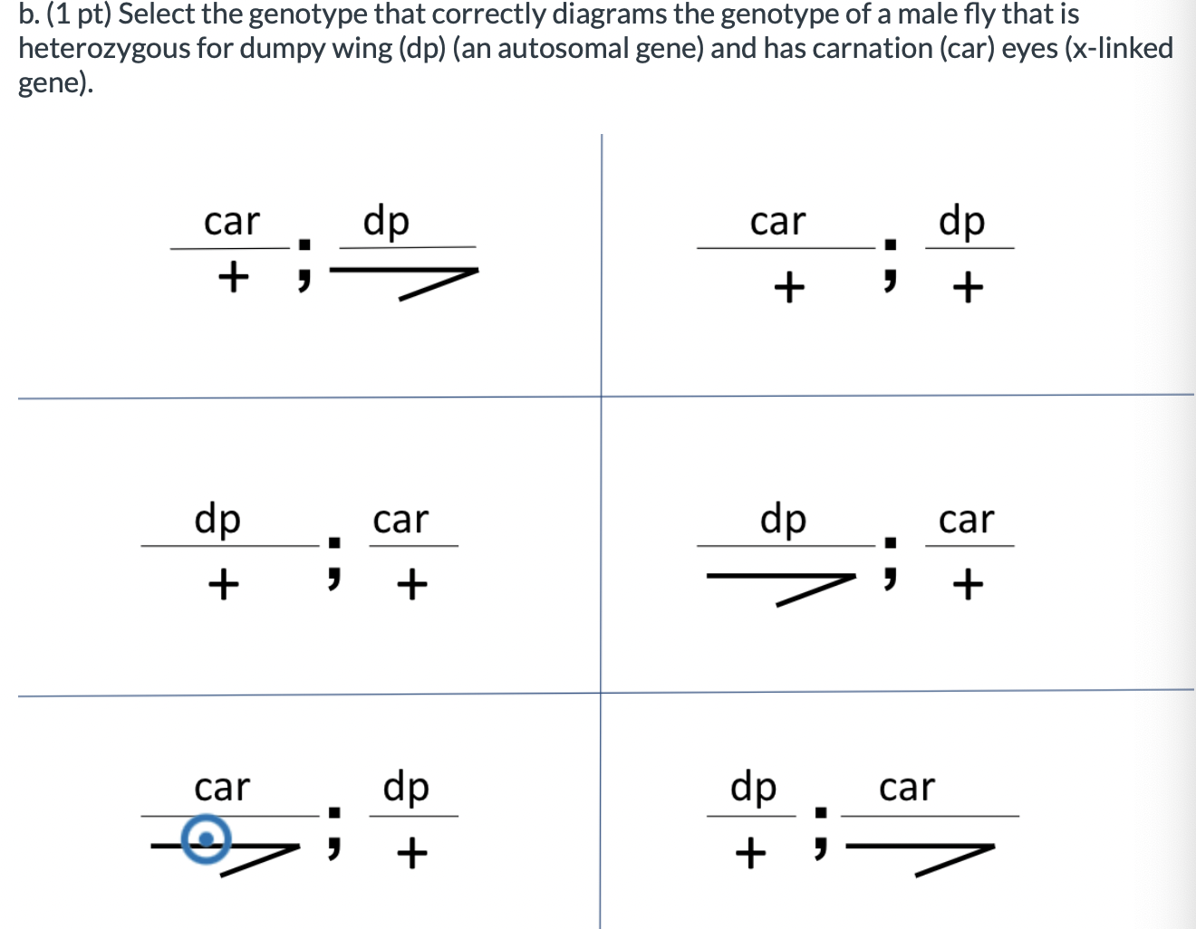 Solved Select the genotype that correctly diagrams the | Chegg.com