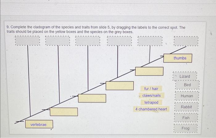Solved 9. Complete the cladogram of the species and tralts | Chegg.com