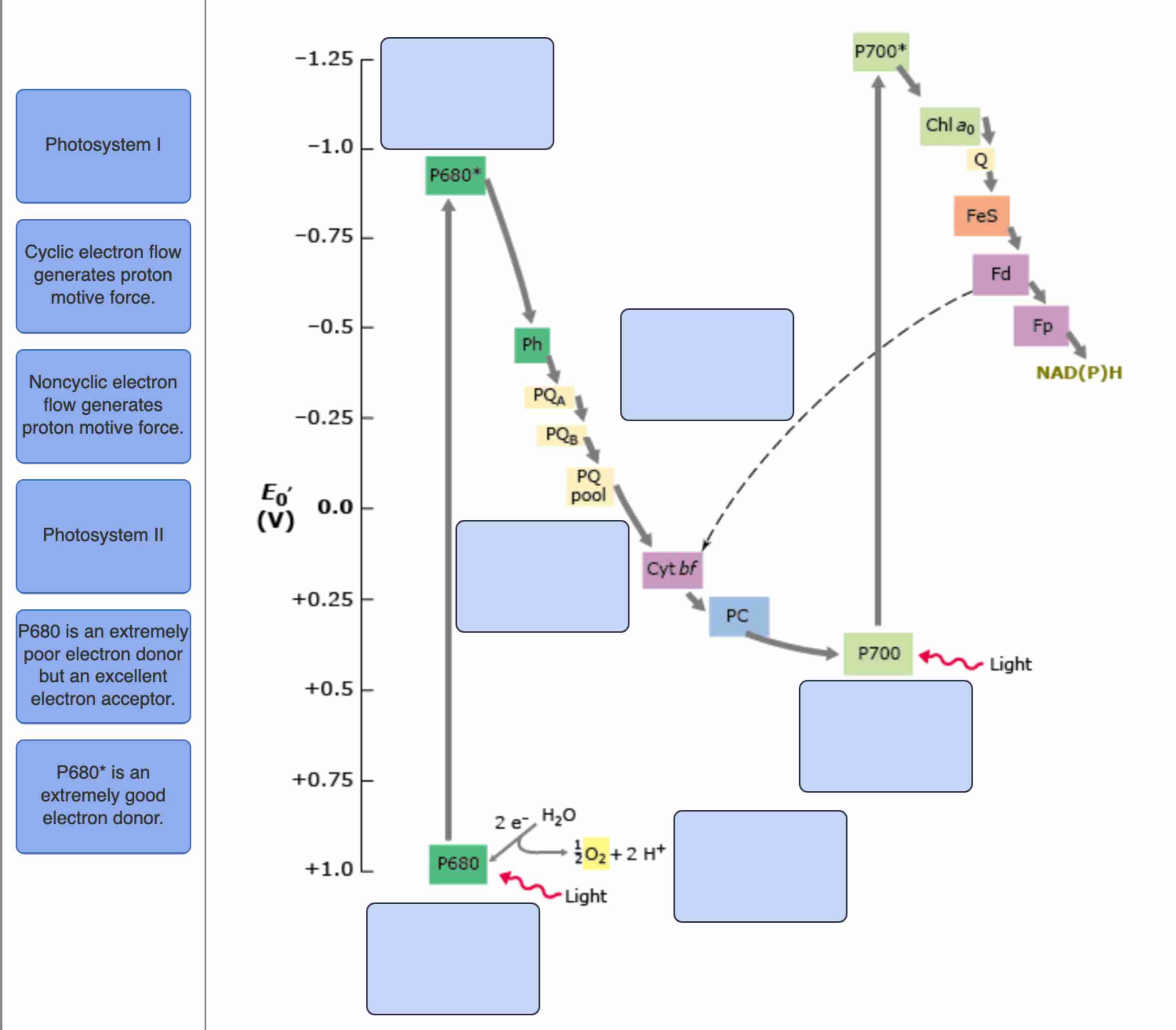Solved Correctly label the key electron steps and major | Chegg.com
