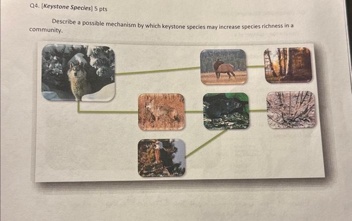 Solved Q4. [Keystone Species] 5 pts Describe a possible | Chegg.com