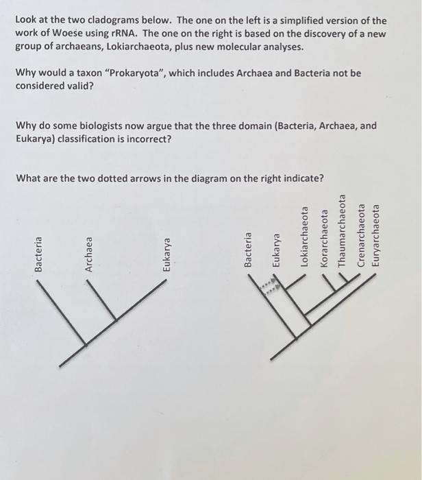 Solved Look at the two cladograms below. The one on the left | Chegg.com