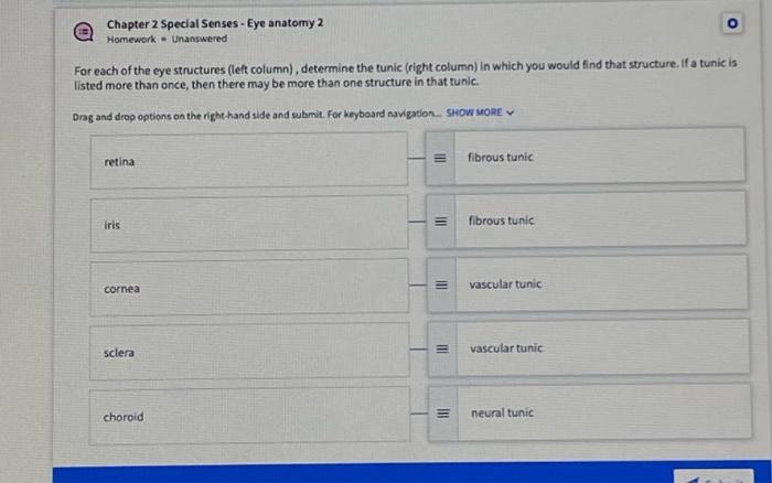 Solved Chapter 2 Special Senses - Eye anatomy 1 Homework | Chegg.com