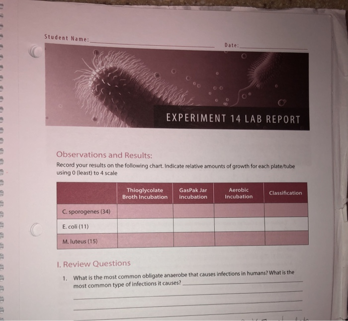 Solved Student Name: Date: EXPERIMENT 14 LAB REPORT | Chegg.com