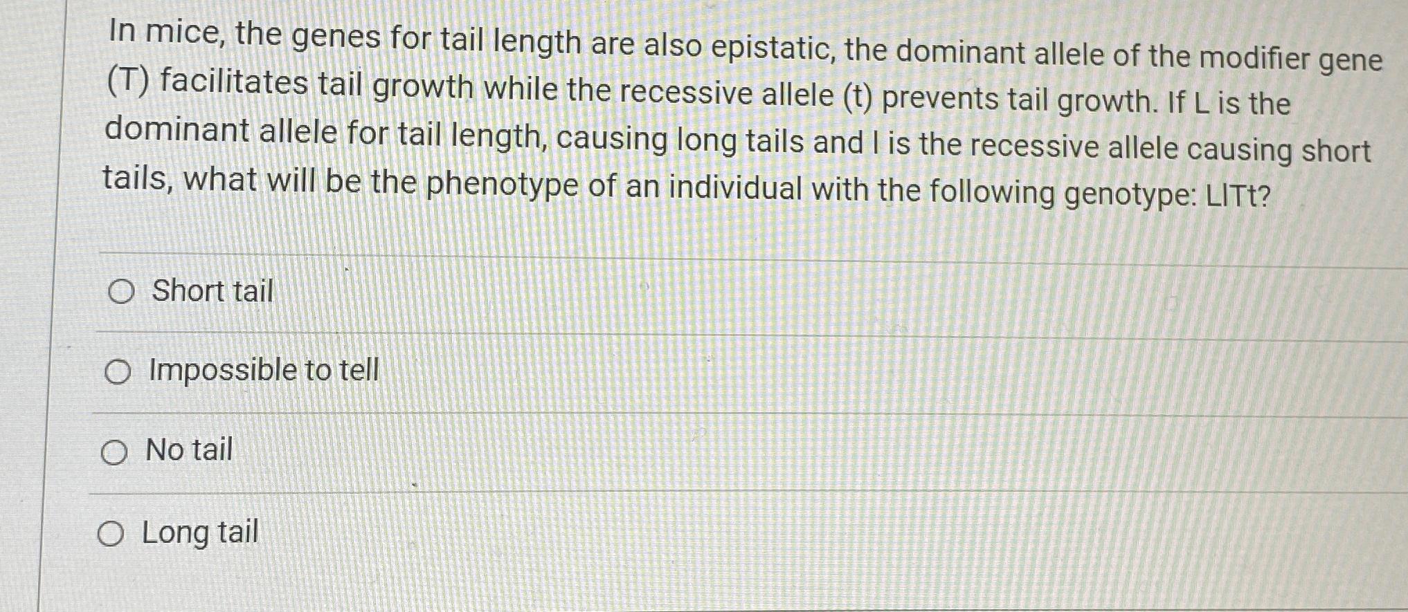 Solved In mice, the genes for tail length are also | Chegg.com