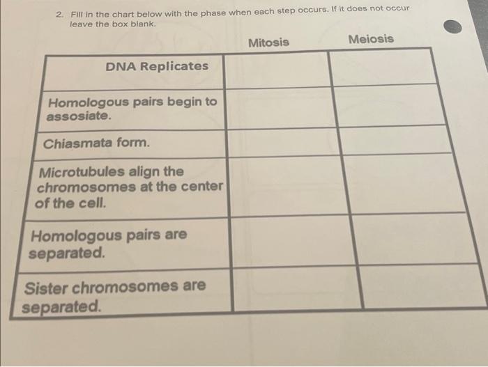 Solved 2. Fill in the chart below with the phase when each | Chegg.com